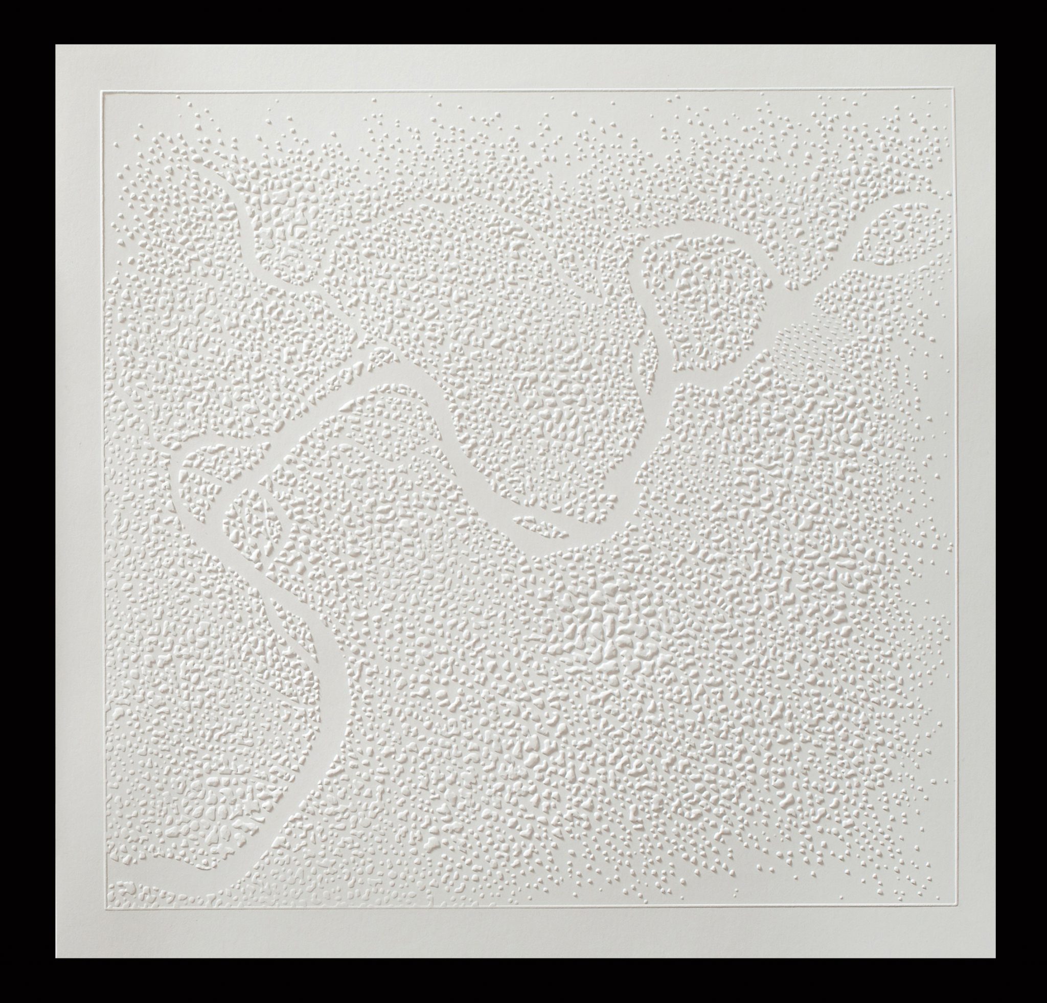 Randi Strand – Fonte Boa – Norske Grafikere