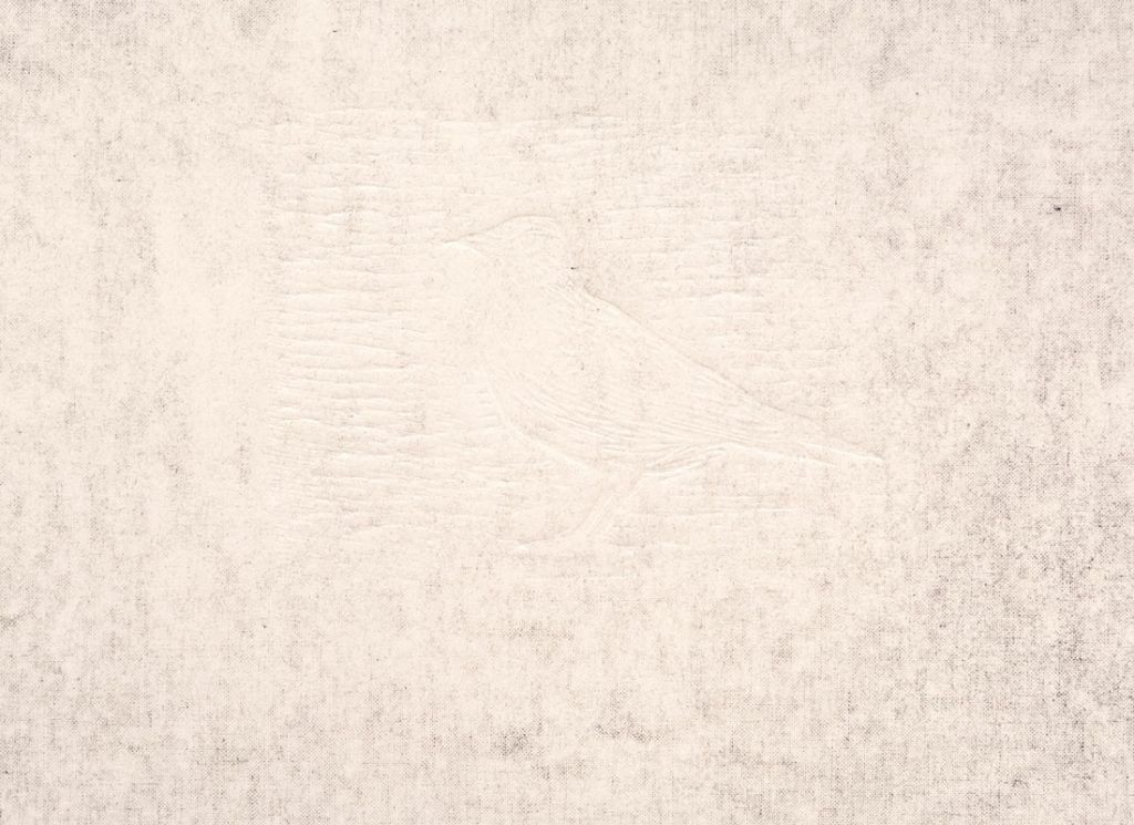 Åse Vikse – Behind the curtain – Norske Grafikere