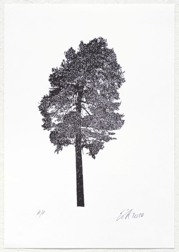 Eamon O’Kane – From 100 Trees – Norske Grafikere